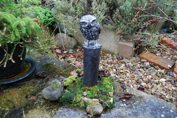 Bronze Little Owl & Moss to Celebrate Conserving Invertebrates