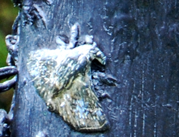 Moth Mission Impossible? - animalsculpture.co.uk