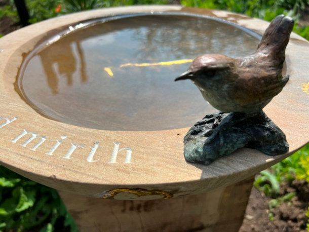 Transformation and Celebration of Life - The John Clare Wren