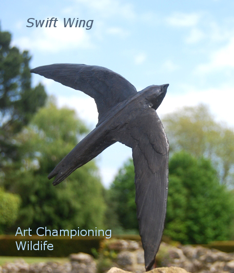 Swift Beauty in the Garden - animalsculpture.co.uk