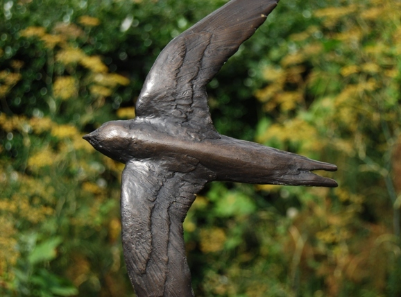 The Beautiful Summer Wings