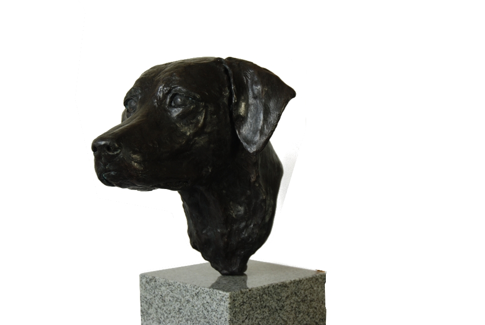 Dog Bronzes and statues of different dog breeds