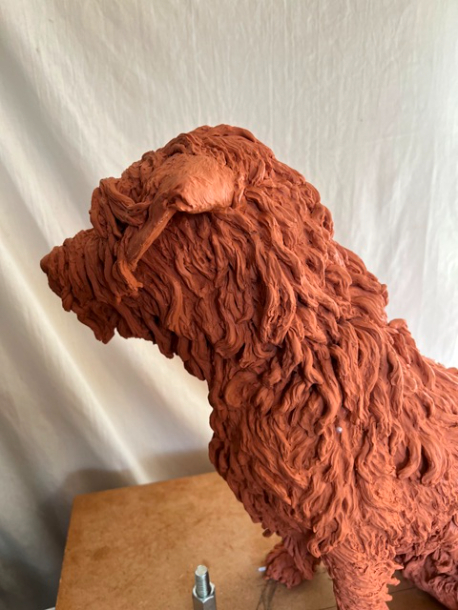 The Celebration of Milo