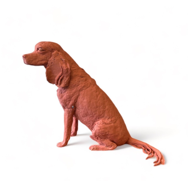 Celebrating A Very Special Dog Companion