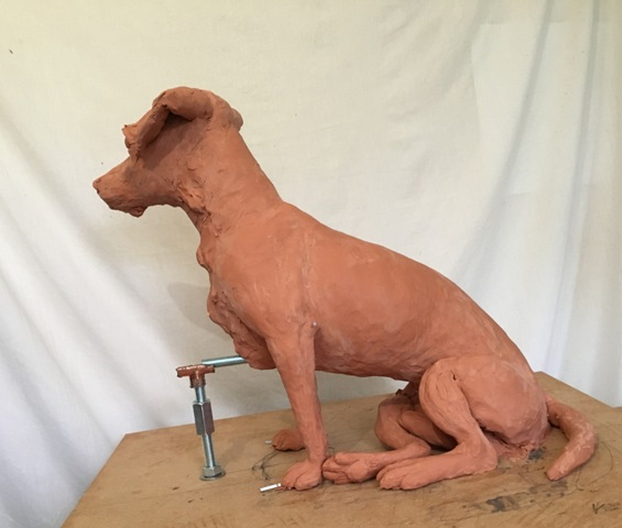 The Celebration of Milo