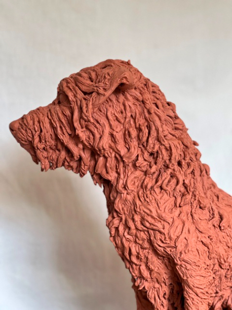 The Celebration of Milo