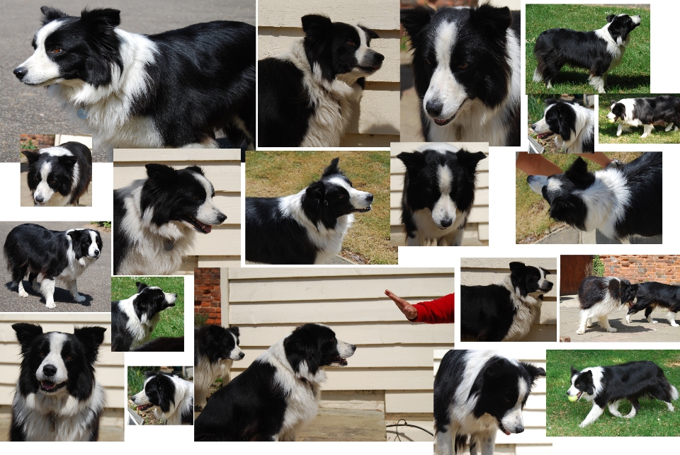 Commission a Portrait Sculpture by the Sculptress JOEL