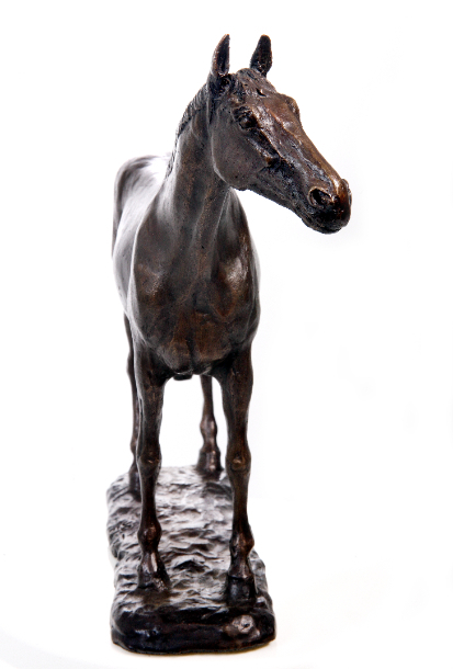 Classic Thoroughbred Horse