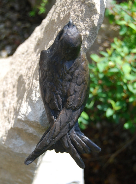 The Beautiful Summer Wings