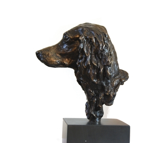 Working Cocker Spaniel Dog